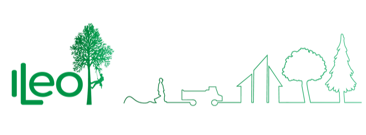 Travaux d'accès difficile - ILEO